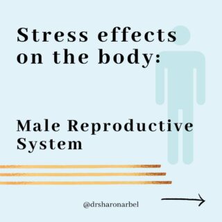 Bribes Versus Rewards | Sharon Arbel, Ph.D. And Associates